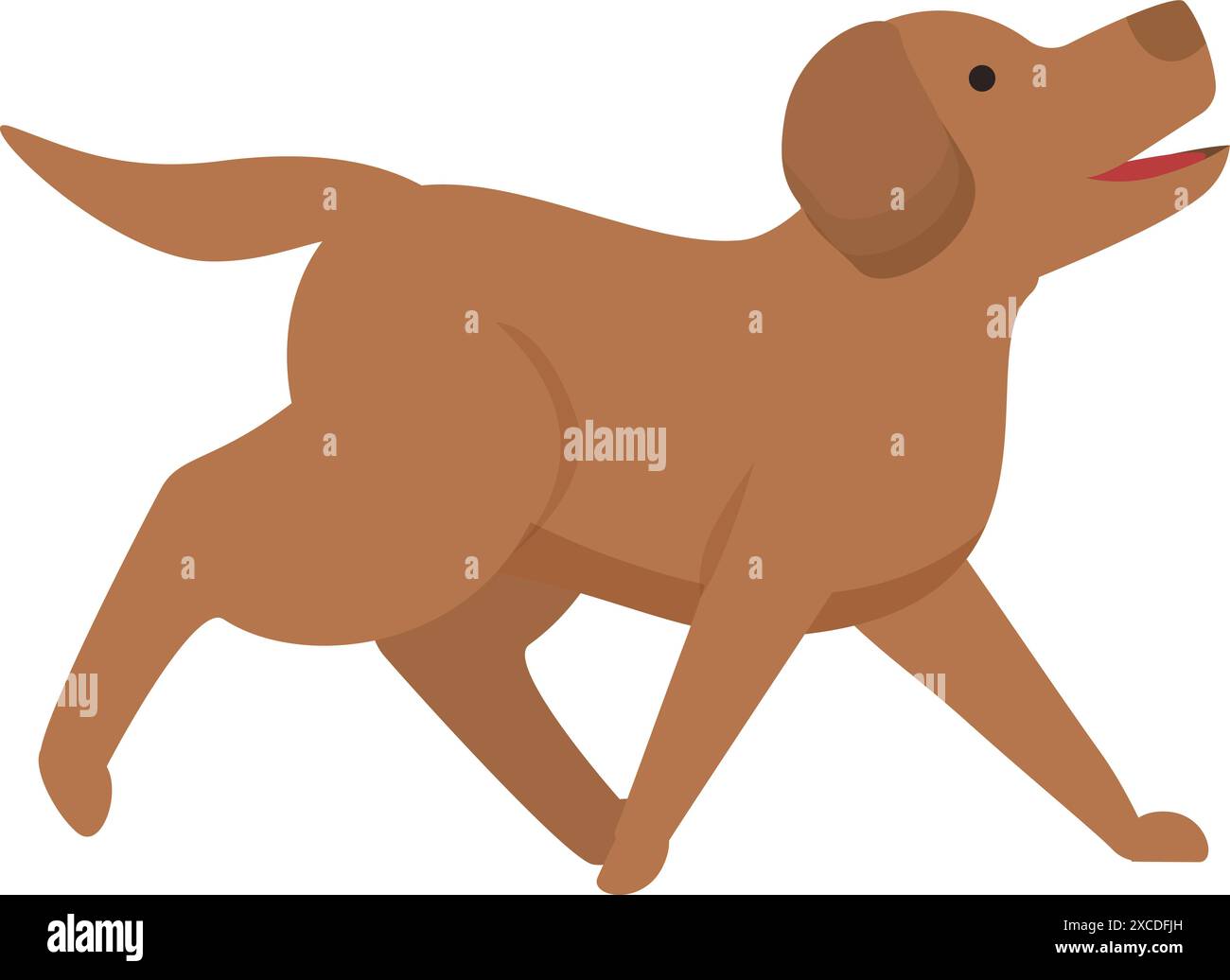 Cartoon labrador dog running isolated hi-res stock photography and ...