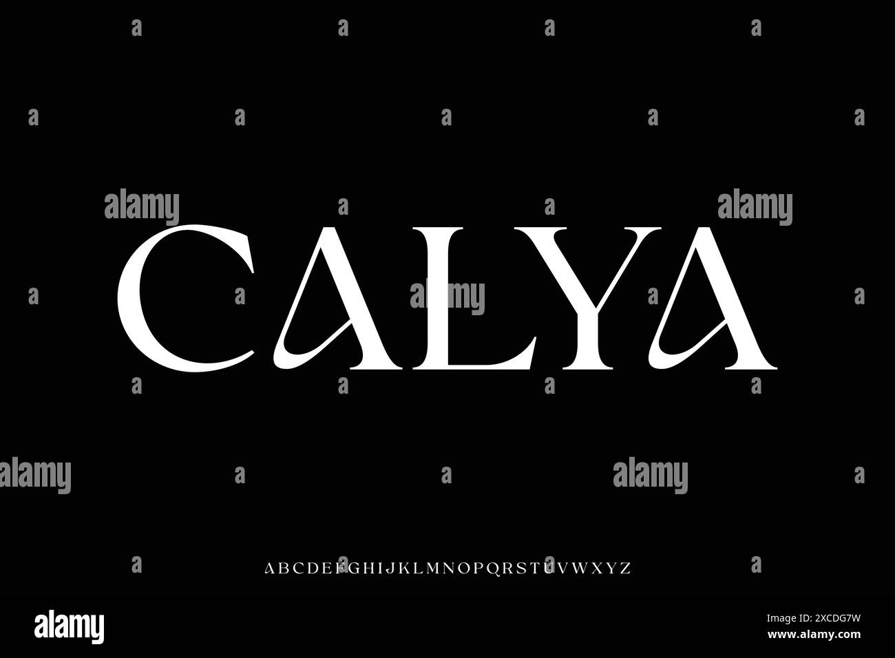 Elegant beautiful serif alphabet display font vector. Feminine roman style typeface Stock Vector ...