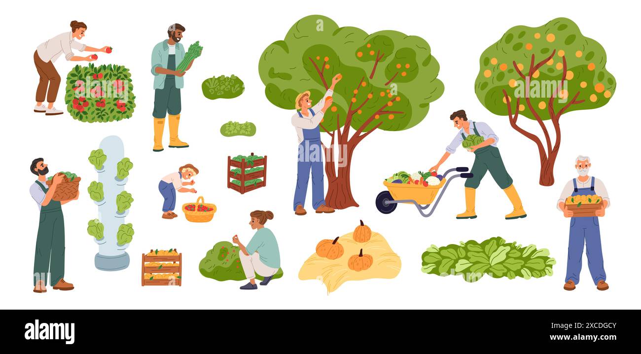Farmers Harvest Fruits And Vegetables Crop Picking Season Happy