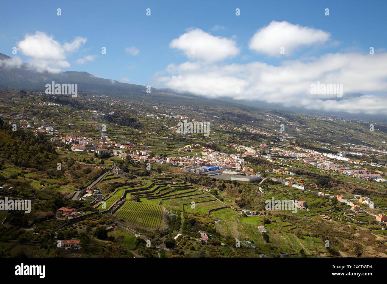 Orotava tenerife field hi-res stock photography and images - Alamy