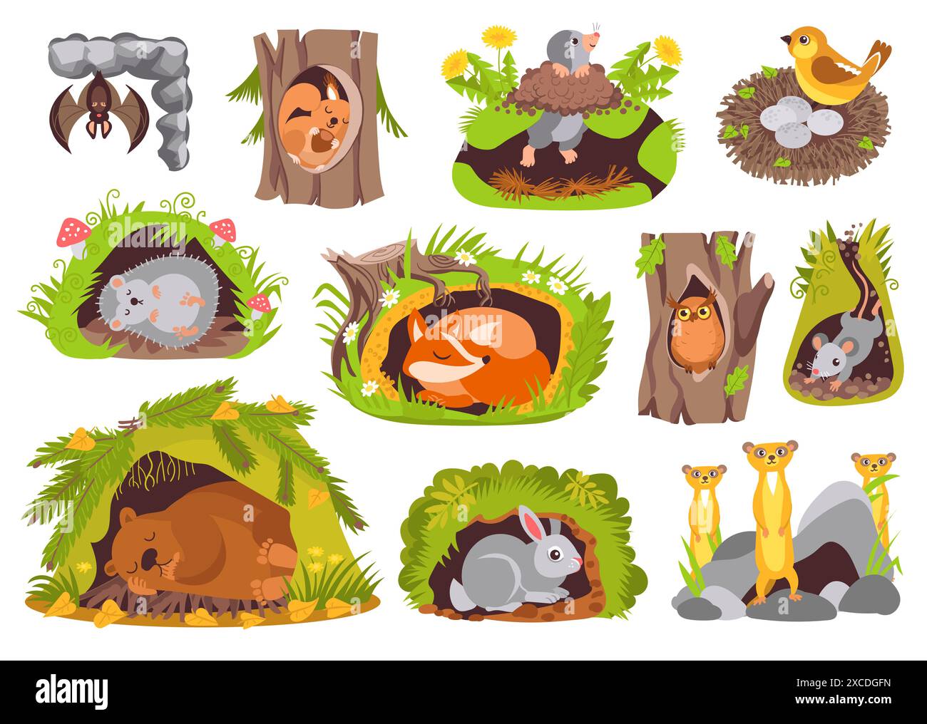 Den dens Stock Vector Images - Alamy