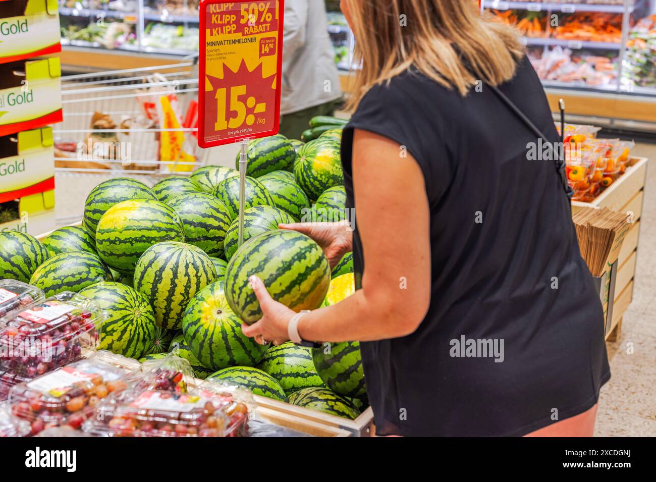 Close-up view of a woman selecting a watermelon in the vegetable ...