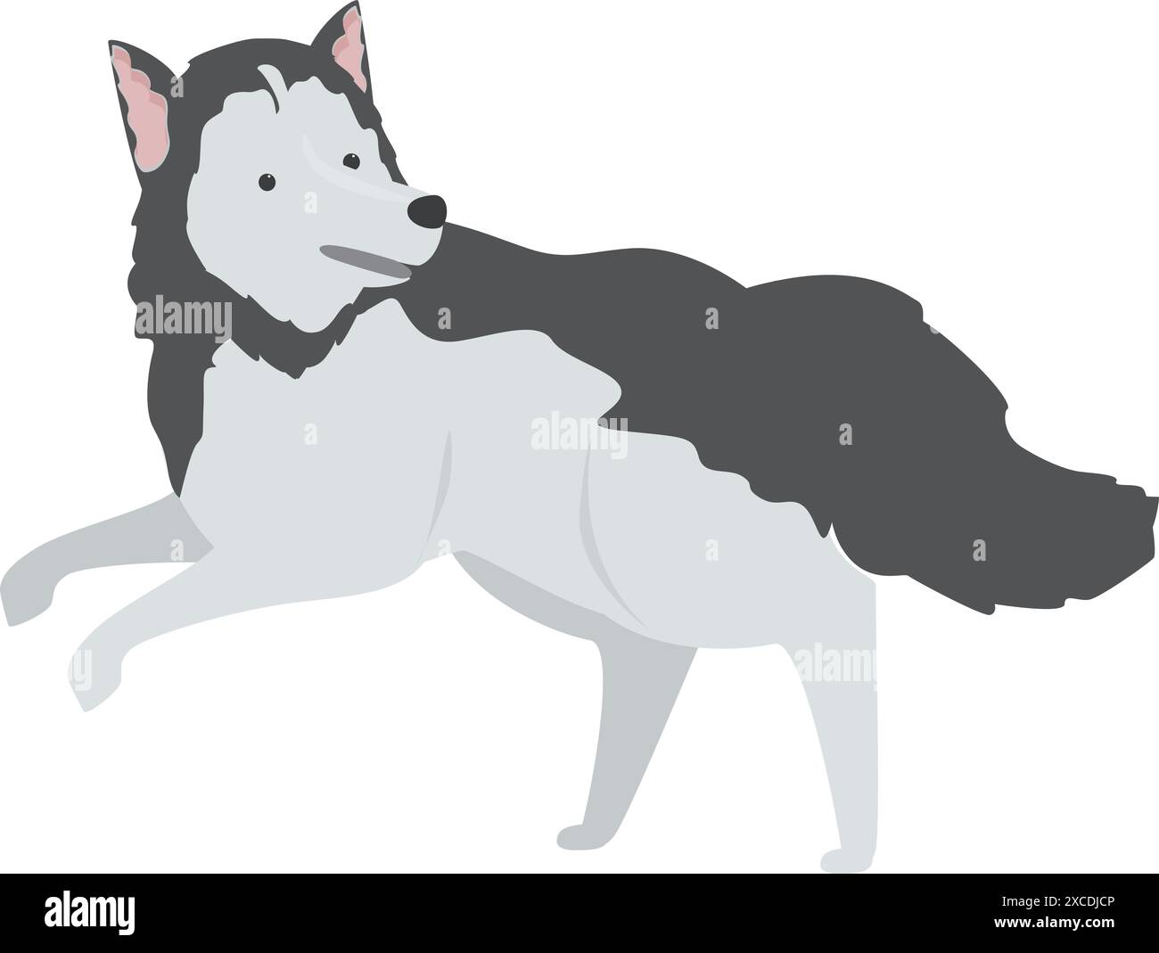 Illustration of a playful siberian husky dog running happily with its ...