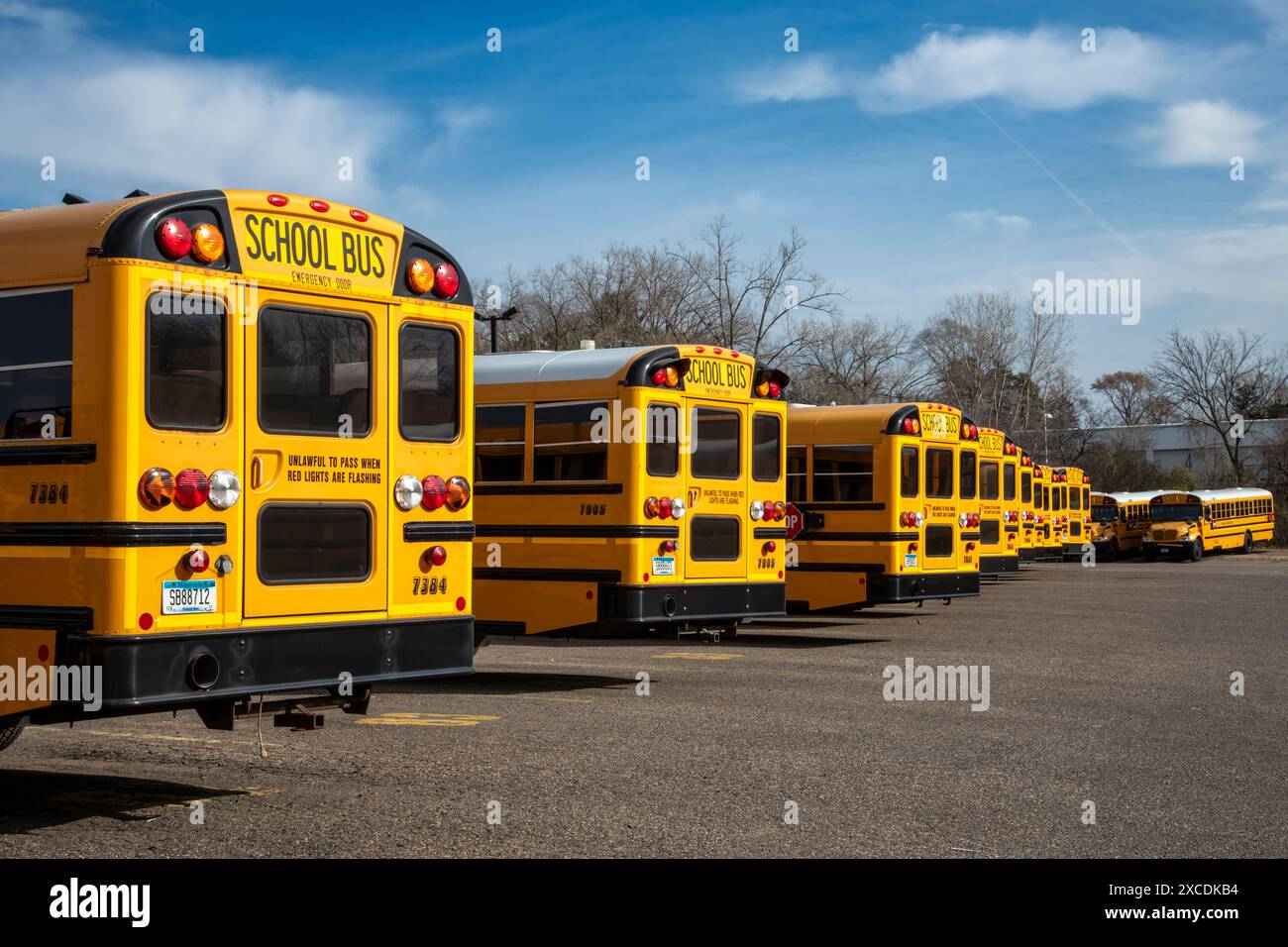St. Paul, Minnesota. A lineup of school buses Stock Photo - Alamy