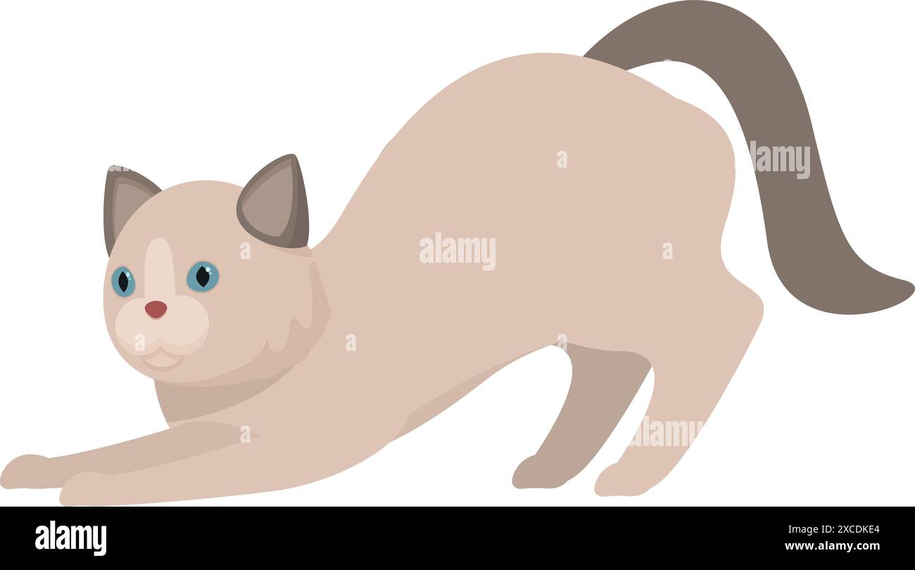 Cartoon ragdoll cat stretching its body, getting ready to play Stock ...