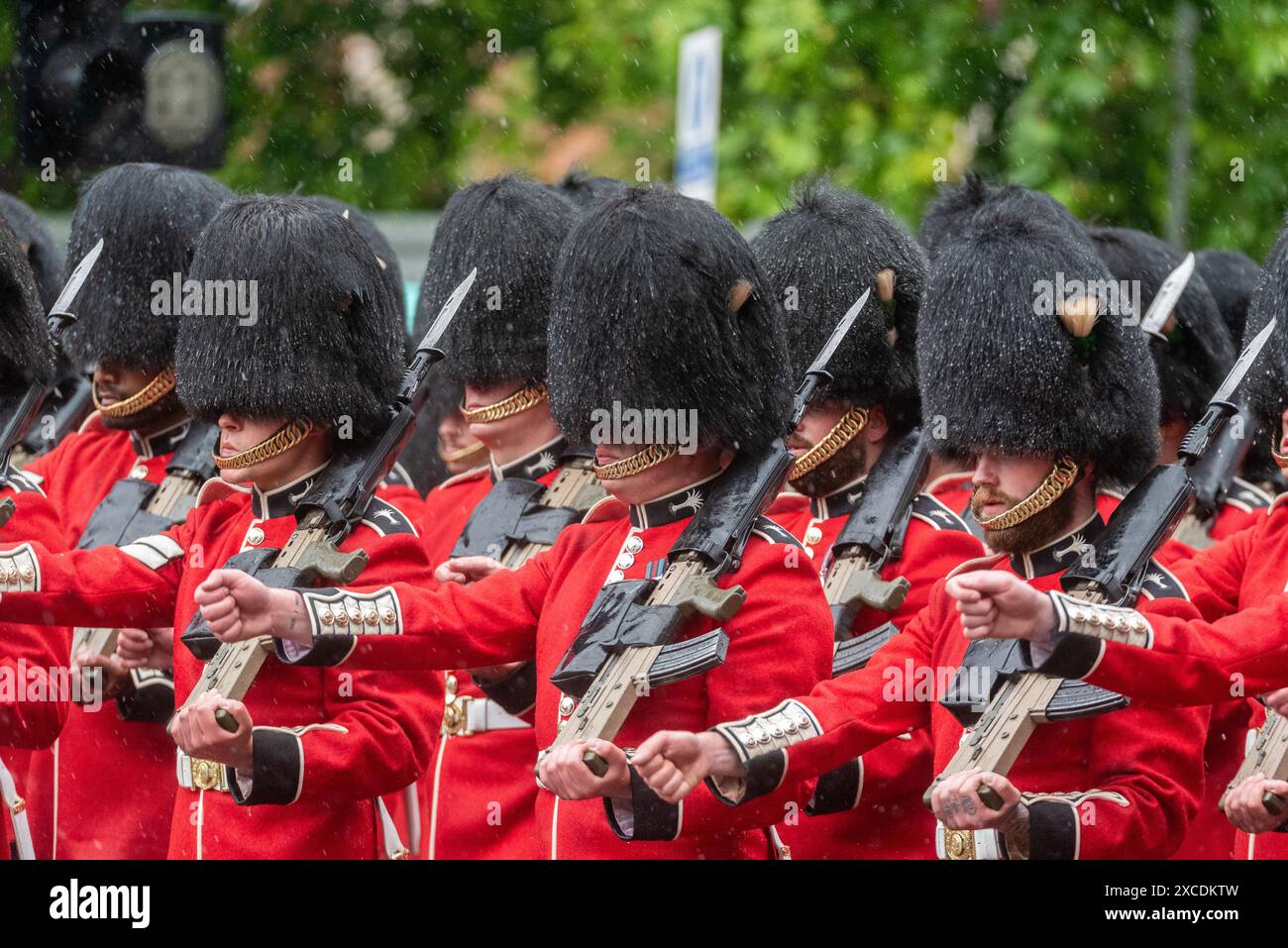 Foot Guards of the Household Division, Welsh Guards at Trooping the ...