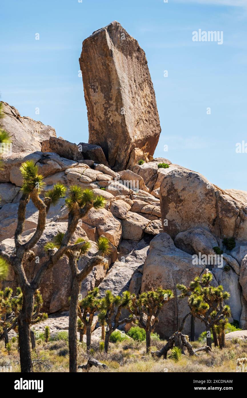 Unusual rock formations; Joshua Tree National Park; southern California ...