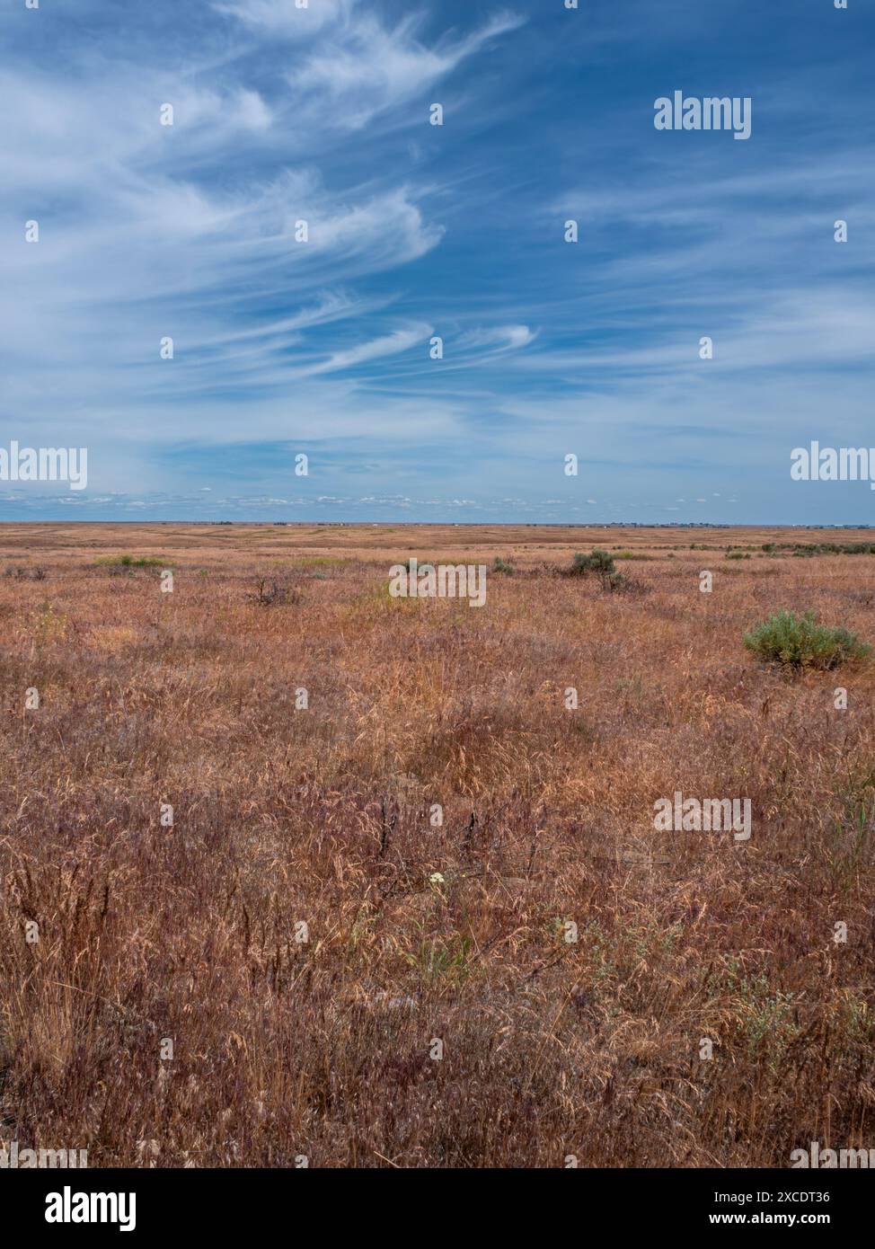 On route to moses lake hi-res stock photography and images - Alamy