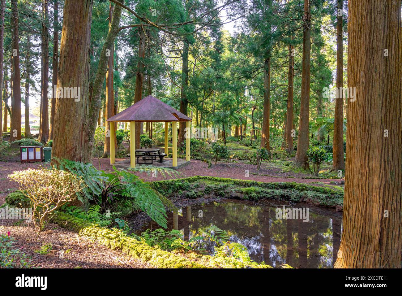 Peaceful environment surrounded by trees in the late afternoon in the 7 ...