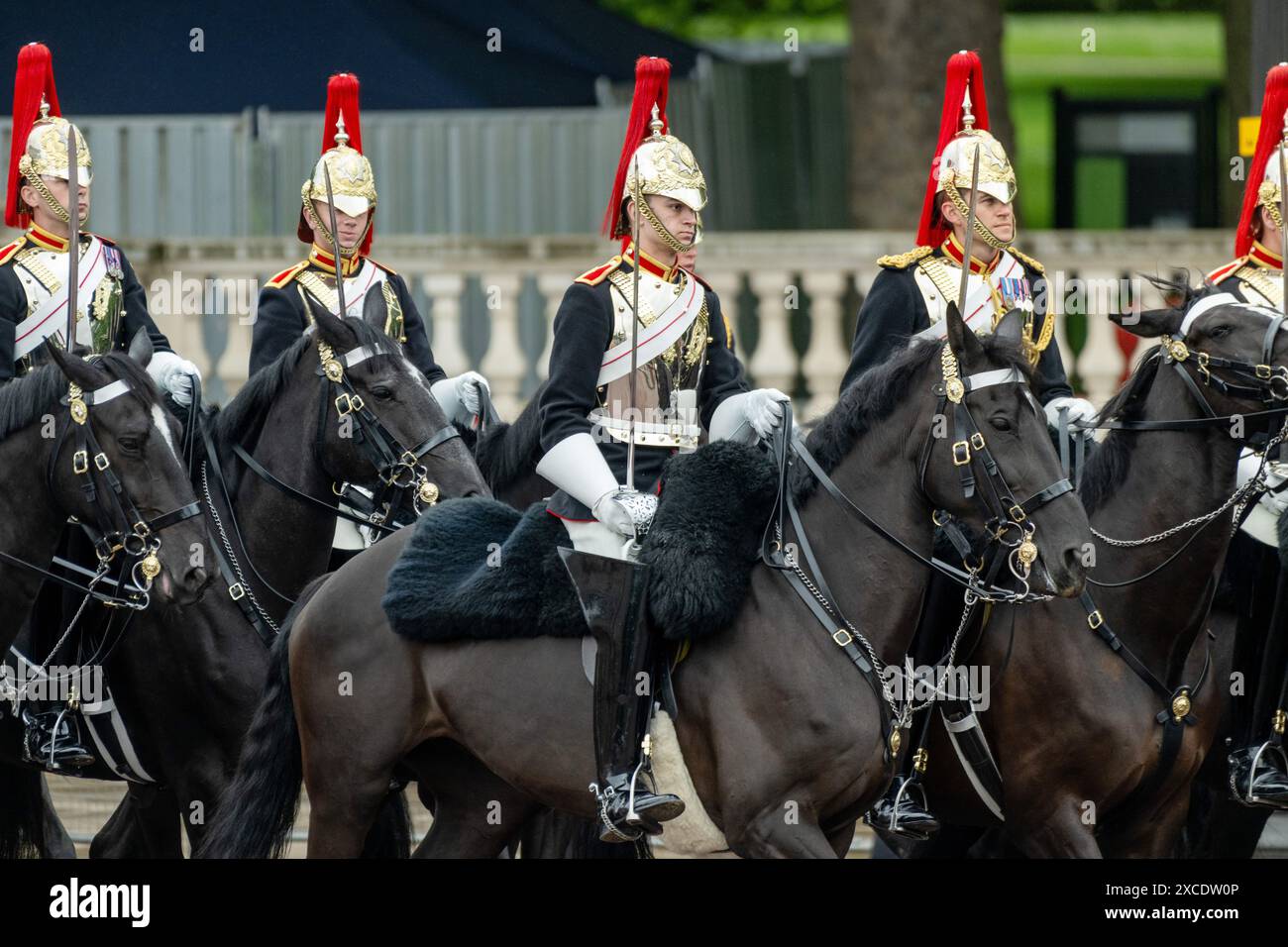 London, UK, 15 June, 2024. Hundreds of military working horses and more ...