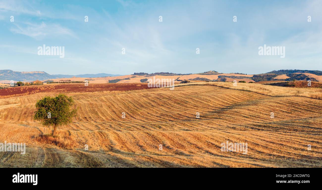 Beautiful landscape of Tuscany summer morning sunrise countryside in ...