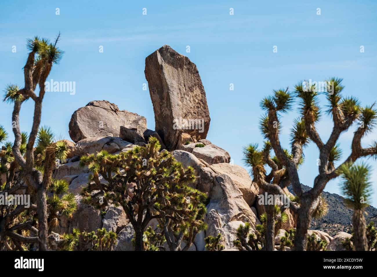 Unusual rock formations; Joshua Tree National Park; southern California ...