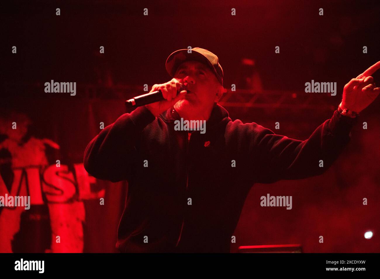 American punk band, Pennywise, performing at the Rock Im Park Festival ...