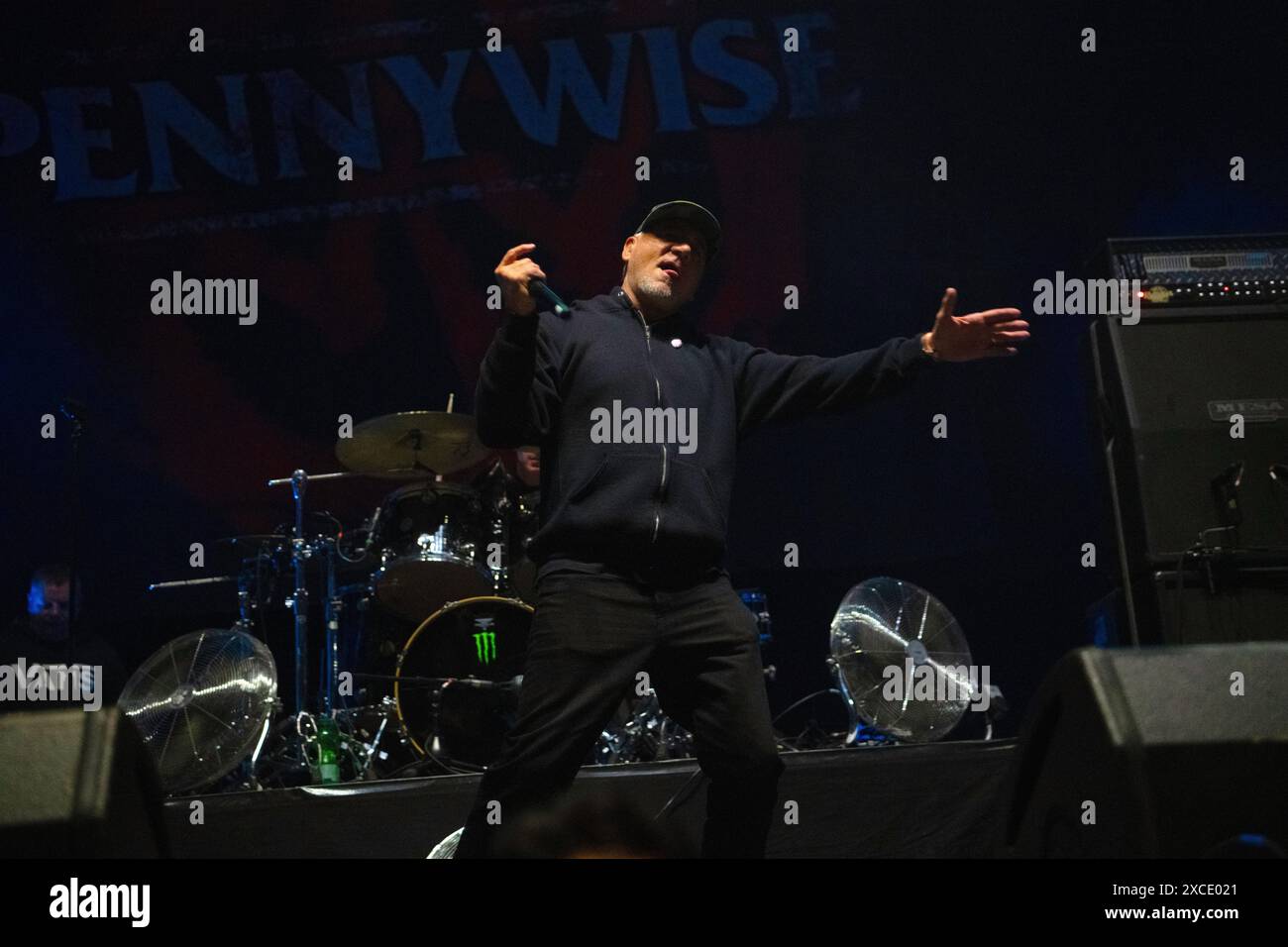 American punk band, Pennywise, performing at the Rock Im Park Festival ...