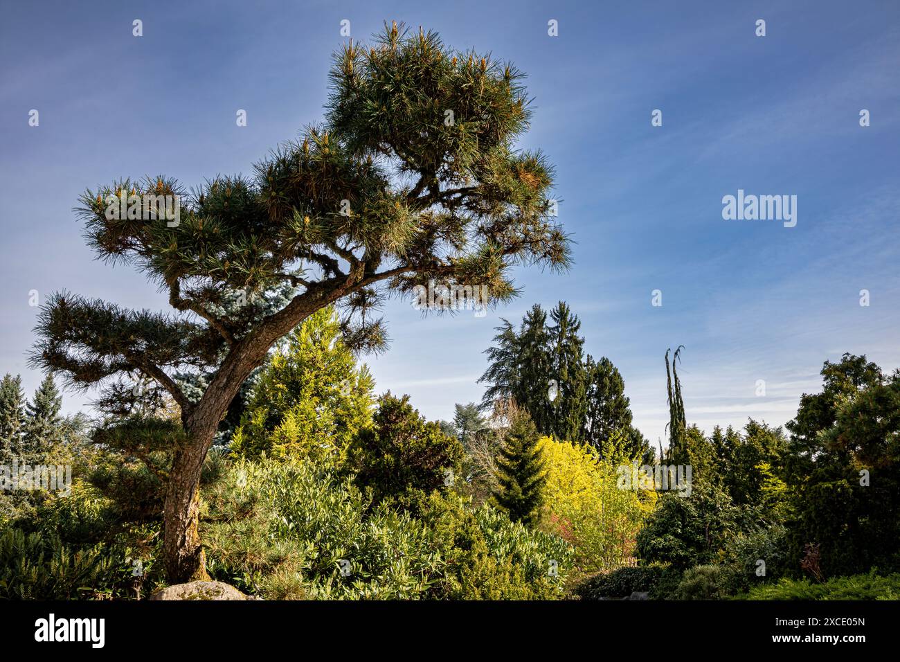 Kubota terrace hi-res stock photography and images - Alamy