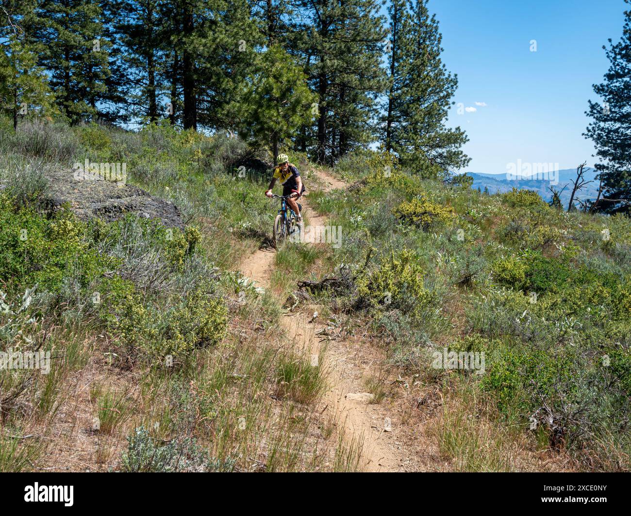Buck up trail hi-res stock photography and images - Alamy