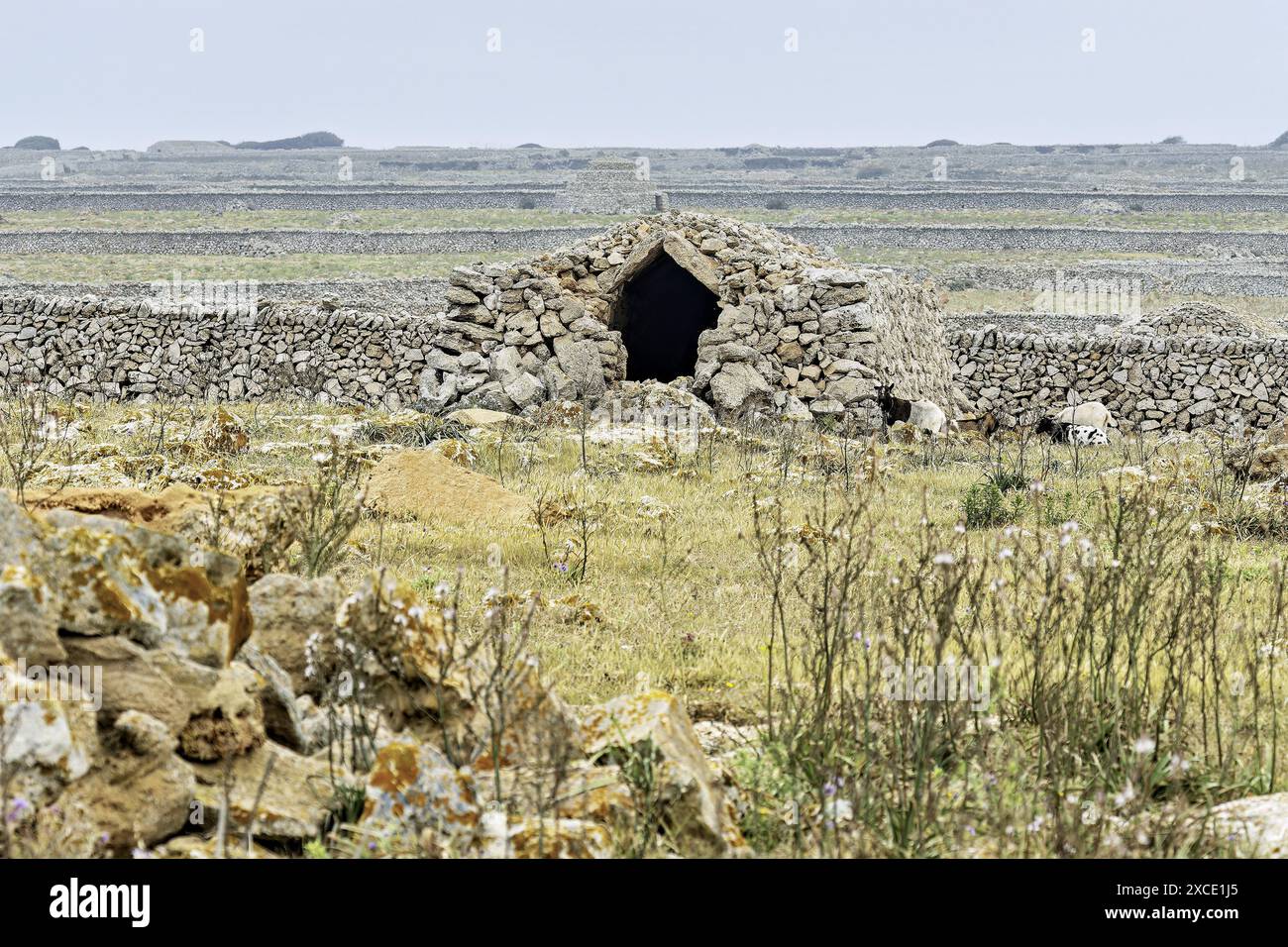 Traditional dry stone constructions at Punta Nati, Menorca. The ...