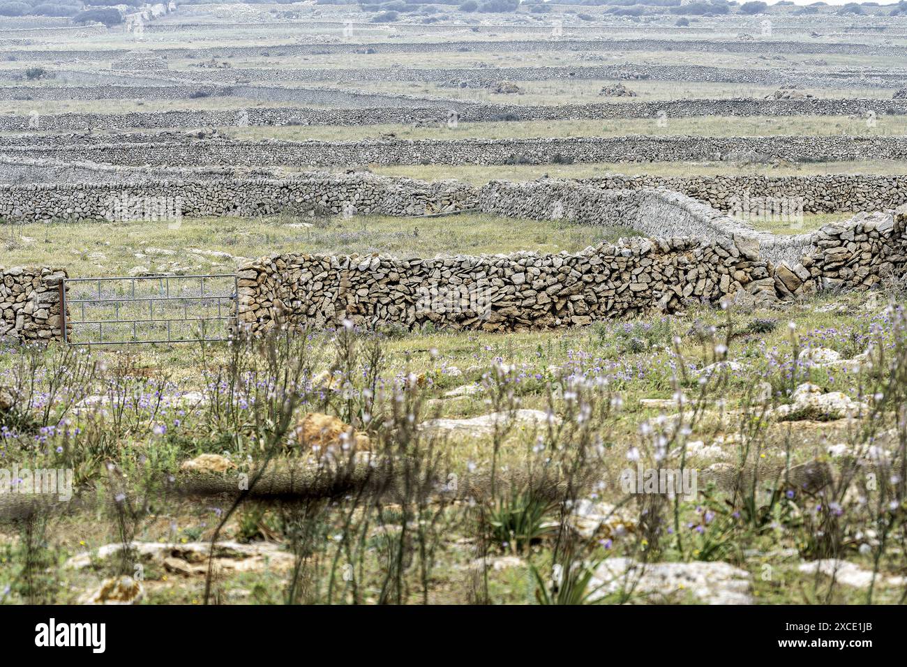 Traditional dry stone constructions at Punta Nati, Menorca. The ...