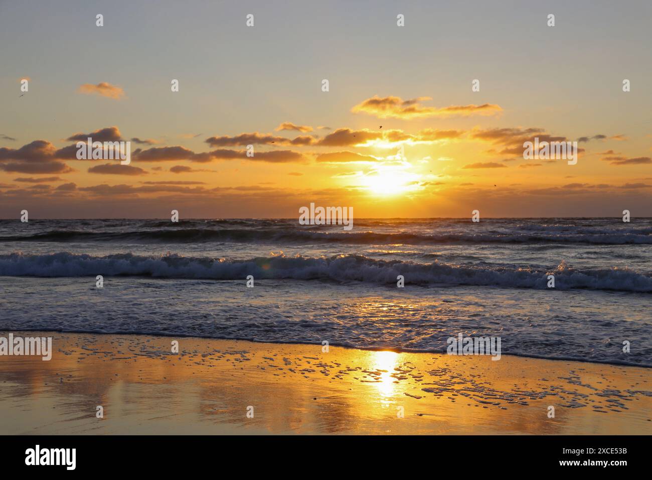 Discover the stunning beauty of Sylt Island through these captivating ...