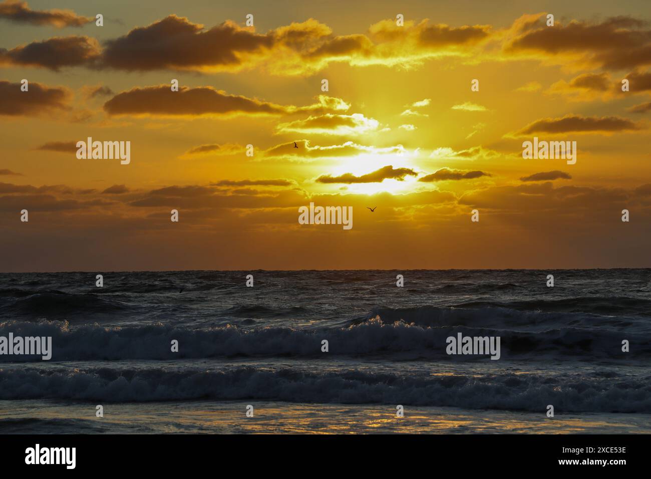 Discover the stunning beauty of Sylt Island through these captivating ...