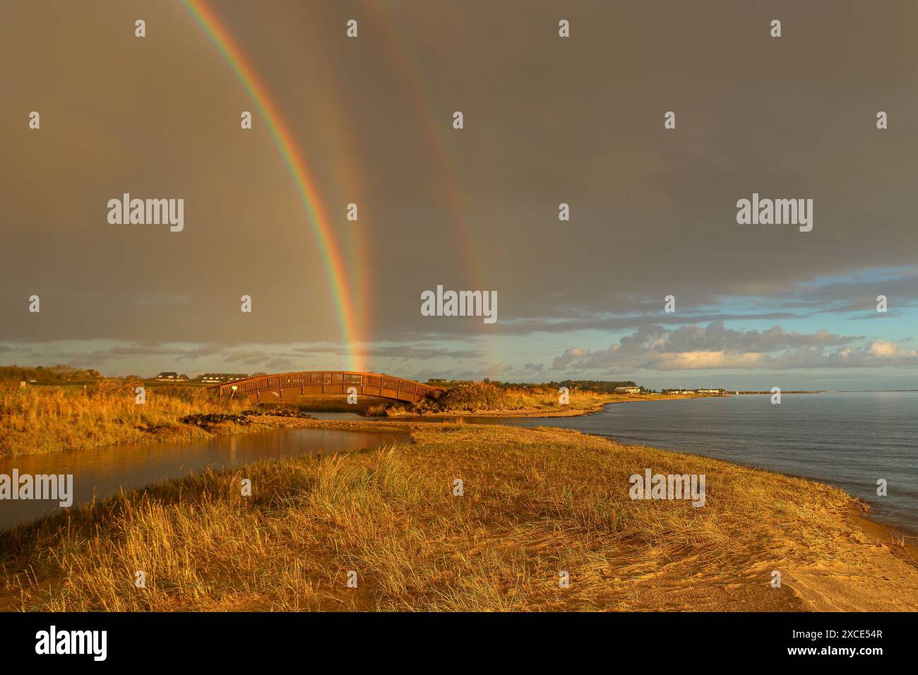 Discover the stunning beauty of Sylt Island through these captivating ...