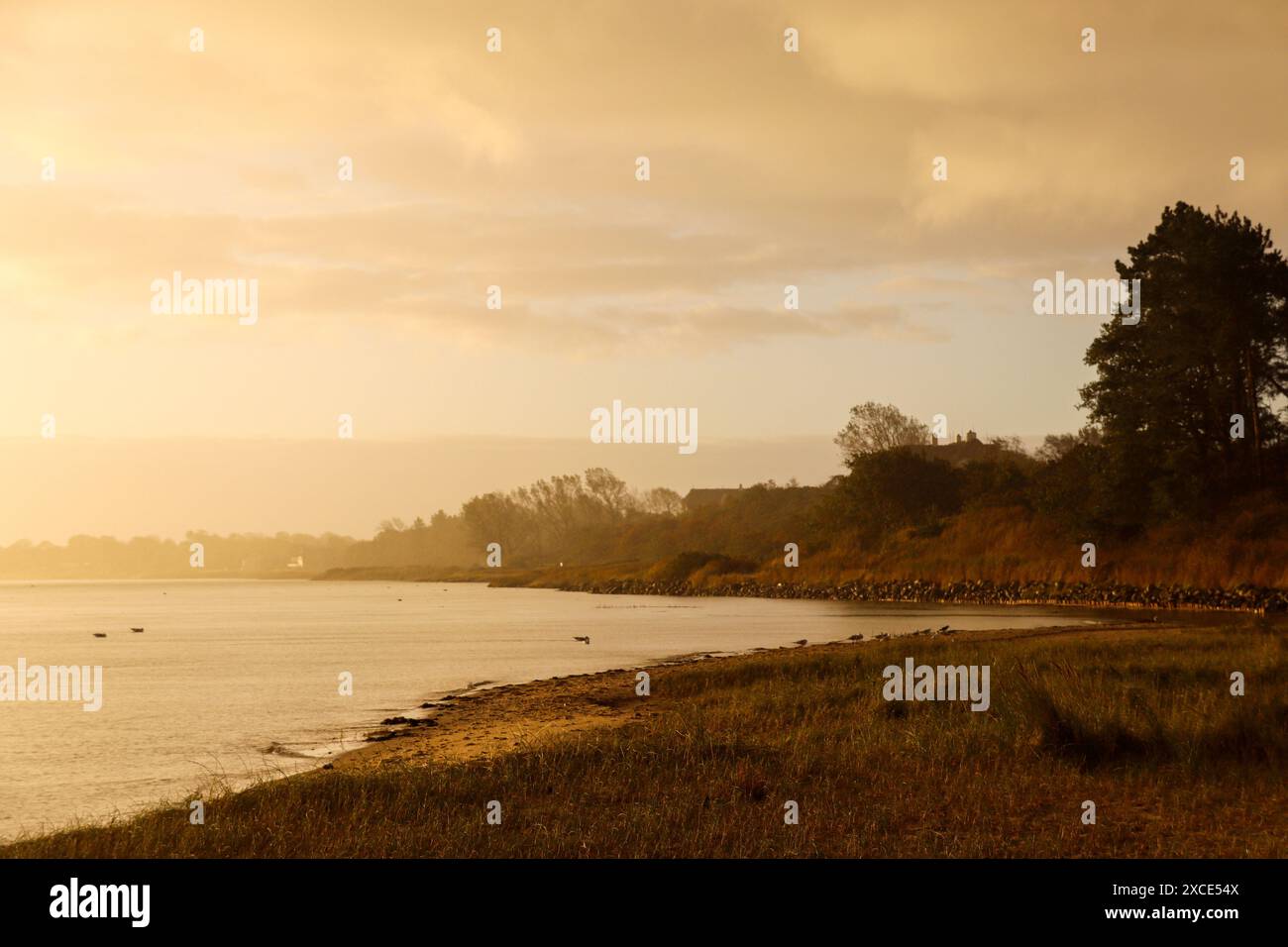 Discover the stunning beauty of Sylt Island through these captivating ...