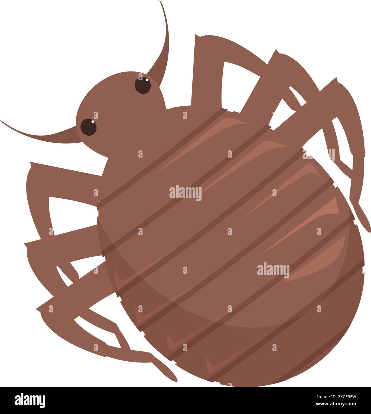 Brown bed bug insect cartoon illustration spreading its legs on white ...