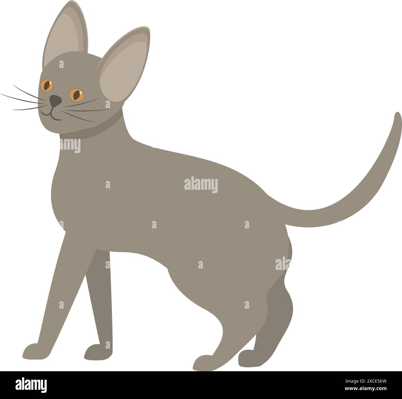 Illustration of a grey cat standing alertly, isolated on a white ...