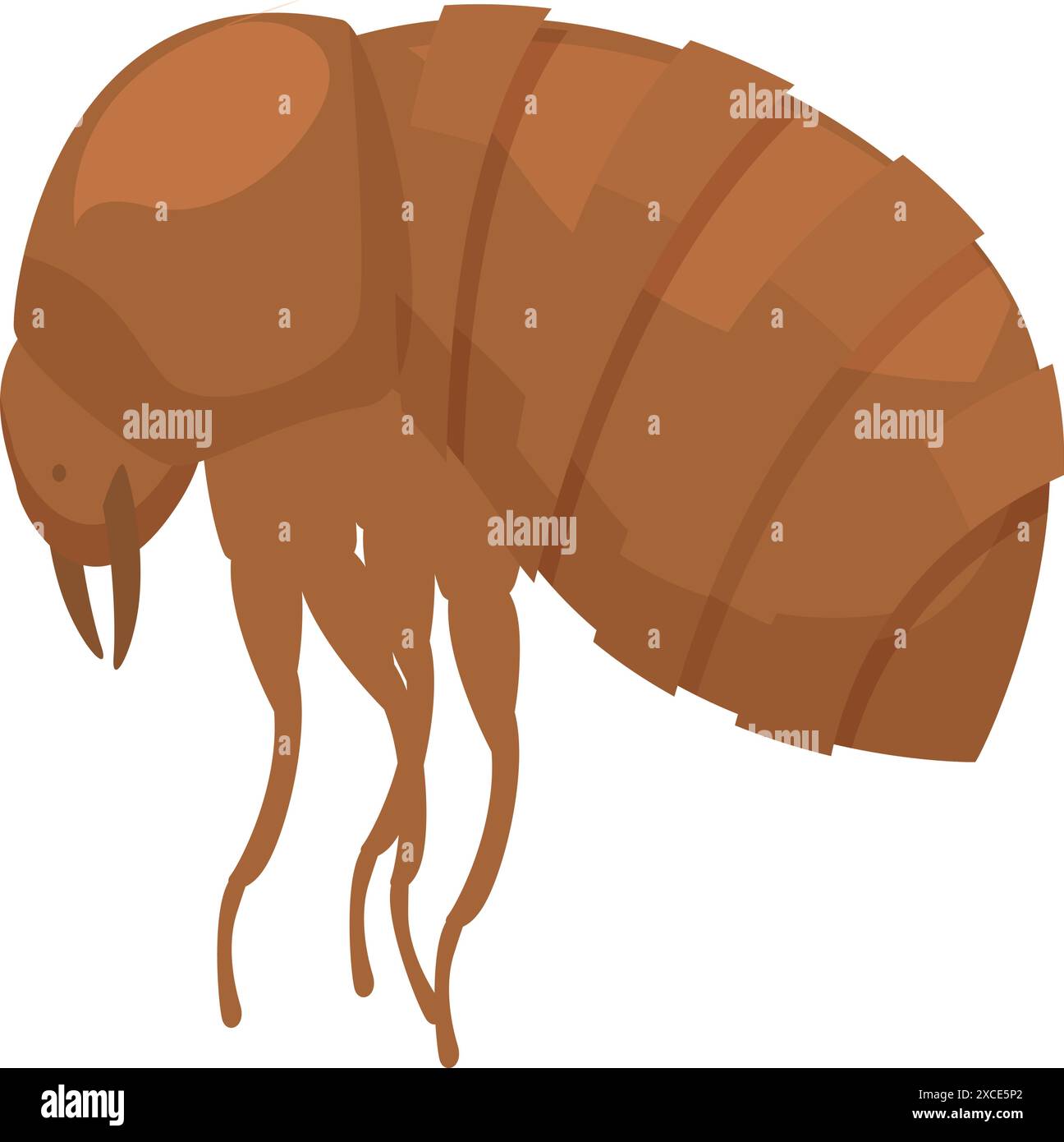 Brown flea insect crawling with big legs illustration Stock Vector ...