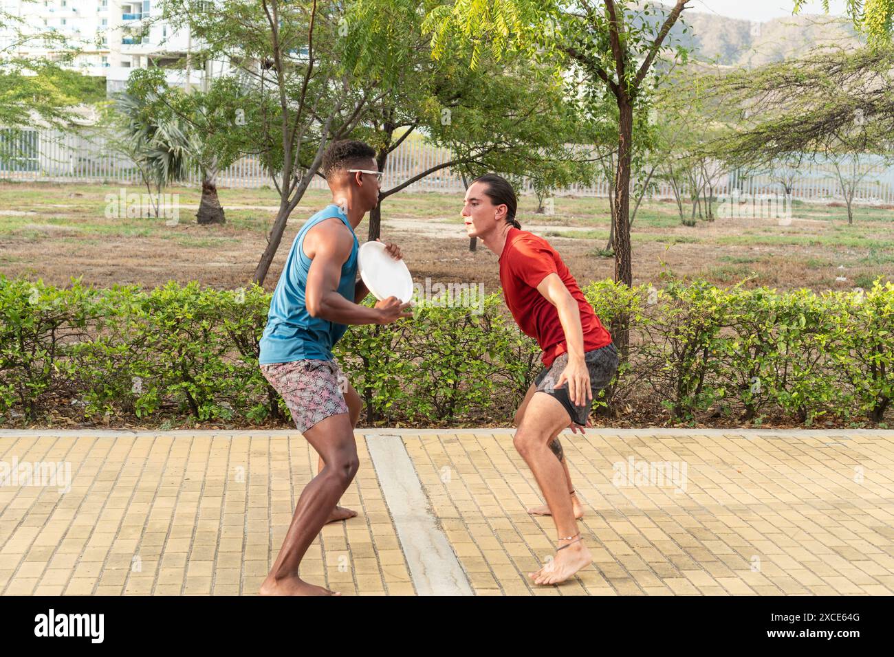 Latin Men Competing in an Intense Outdoor Frisbee Match Stock Photo - Alamy