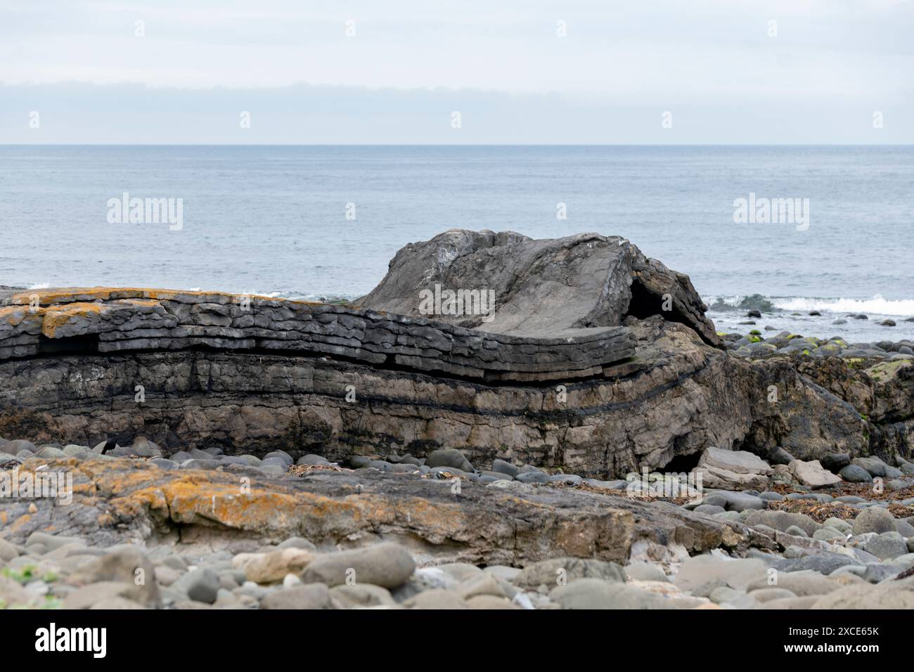 folded rock layers beside Dunstanburgh Castle Stock Photo - Alamy