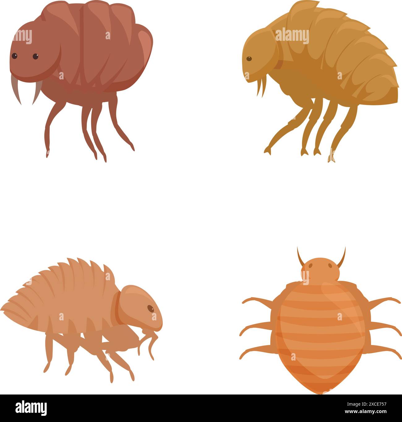 Collection of four bed bug cartoons in different poses, isolated on a ...