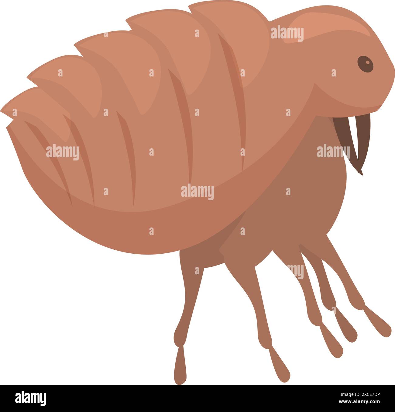 Flea is walking and showing its tiny hairs and powerful legs Stock ...