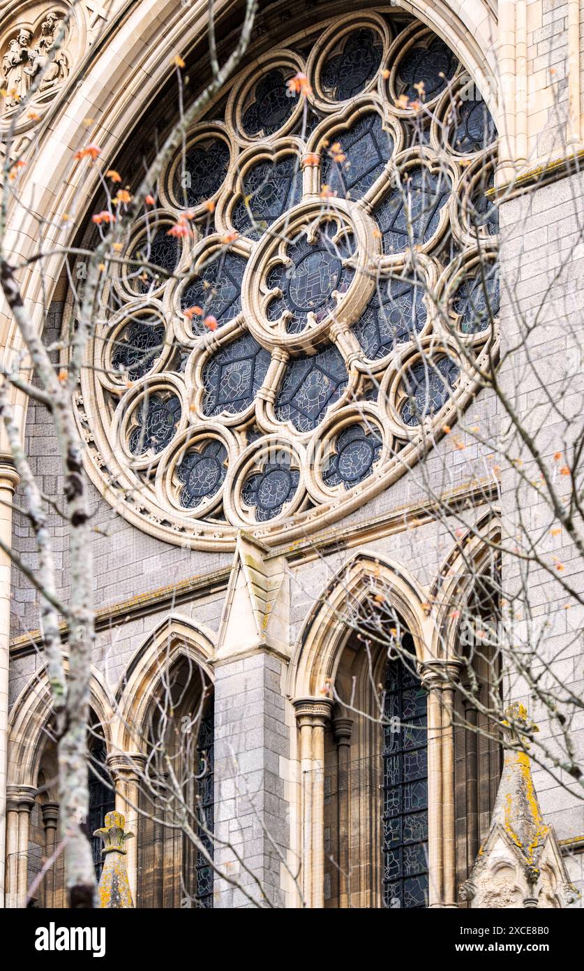 Cathedral of the blessed virgin mary hi-res stock photography and ...