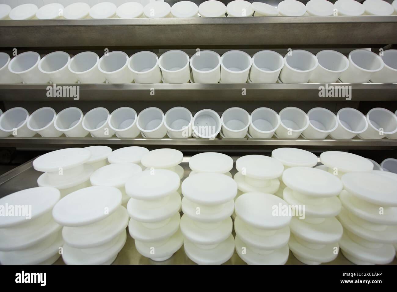 Making cheese from sheeps milk Latxa Designation of origin Idiazabal ...