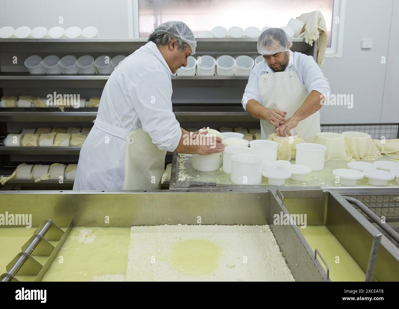 Making cheese from sheeps milk Latxa Designation of origin Idiazabal ...