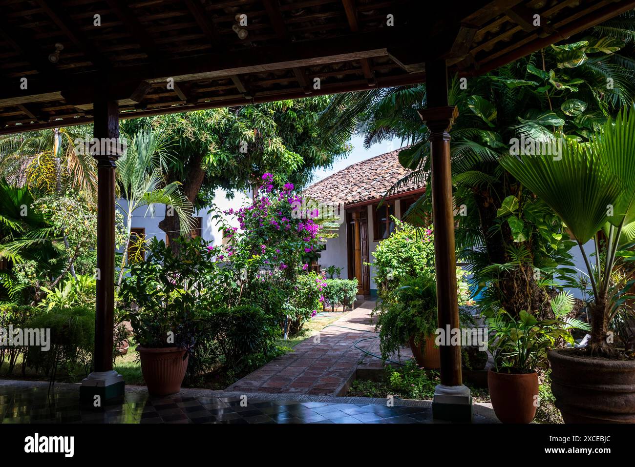 Plants-filled courtyard in the House of Three Worlds, a cultural centre ...