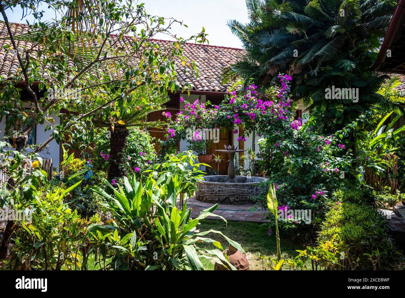 Plants-filled courtyard in the House of Three Worlds, a cultural centre ...