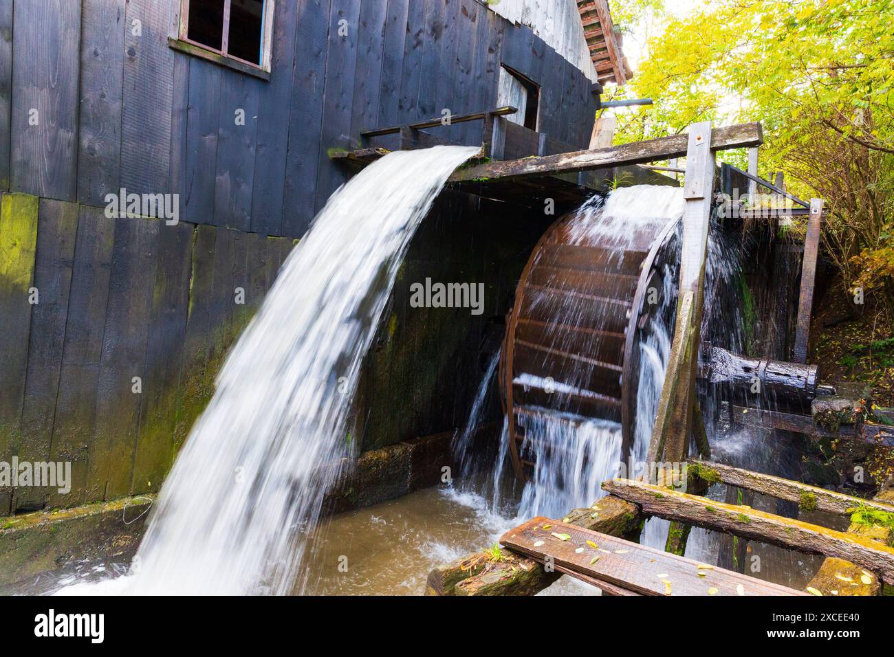 Europe, Romania, Transylvania, Carpathian Mountains. Fagaras. Ohaba ...