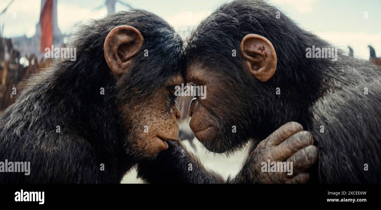 Kingdom of the Planet of the Apes (2024) directed by Wes Ball and ...