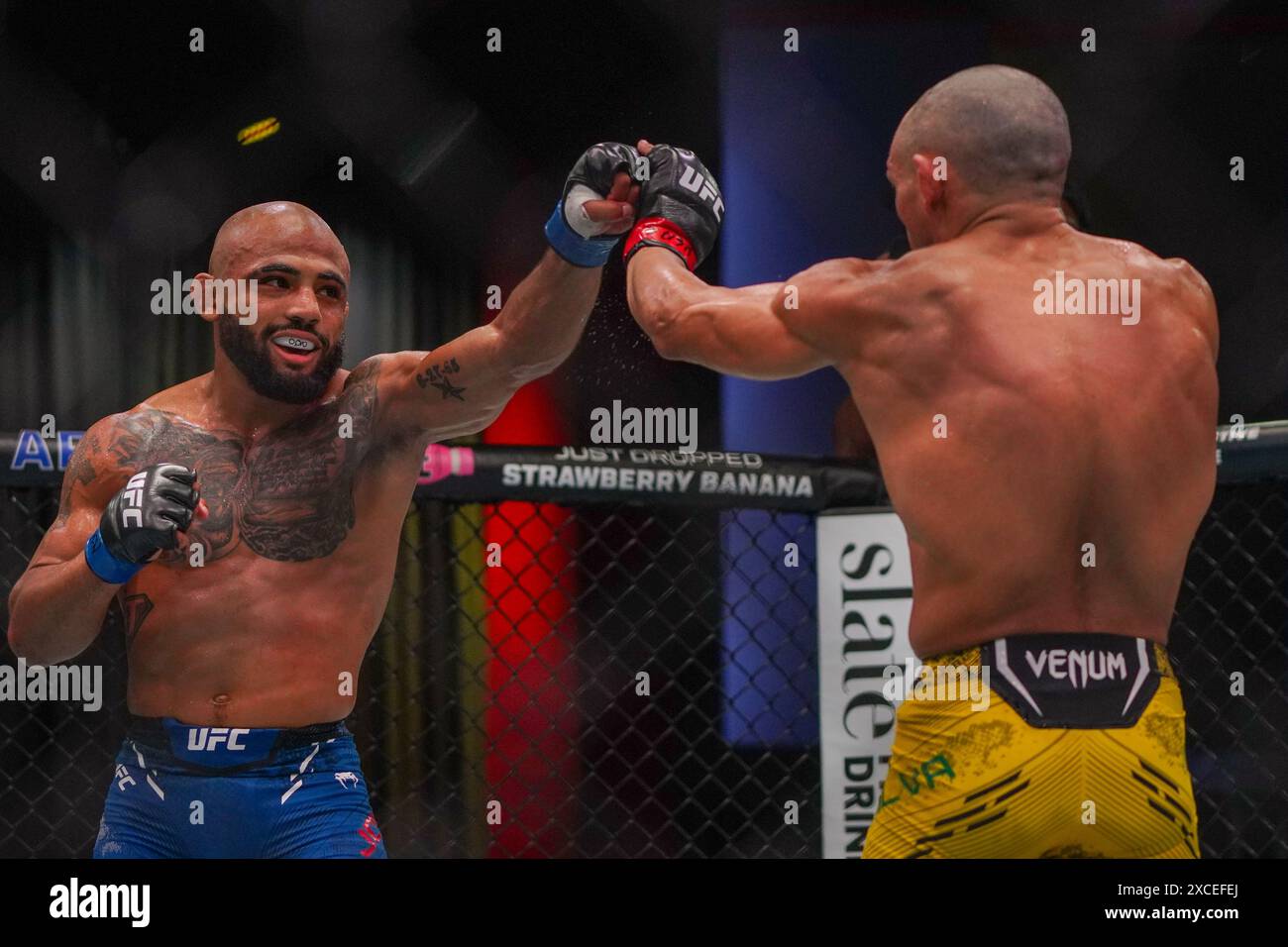 Ufcapex hi-res stock photography and images - Alamy