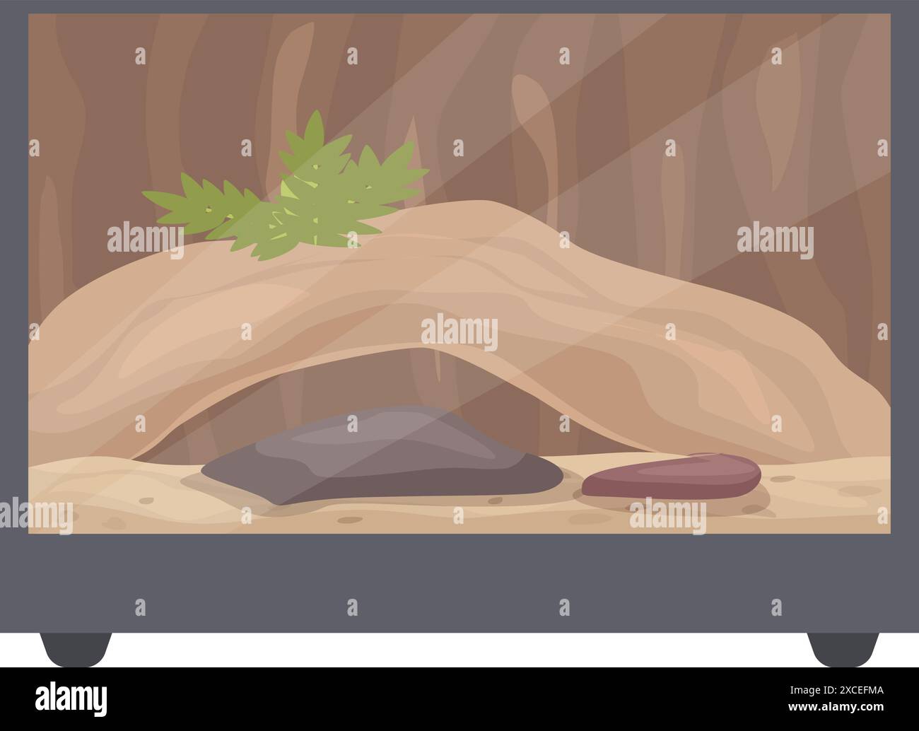 Empty terrarium is waiting to be filled with sand, rocks, and plants to ...