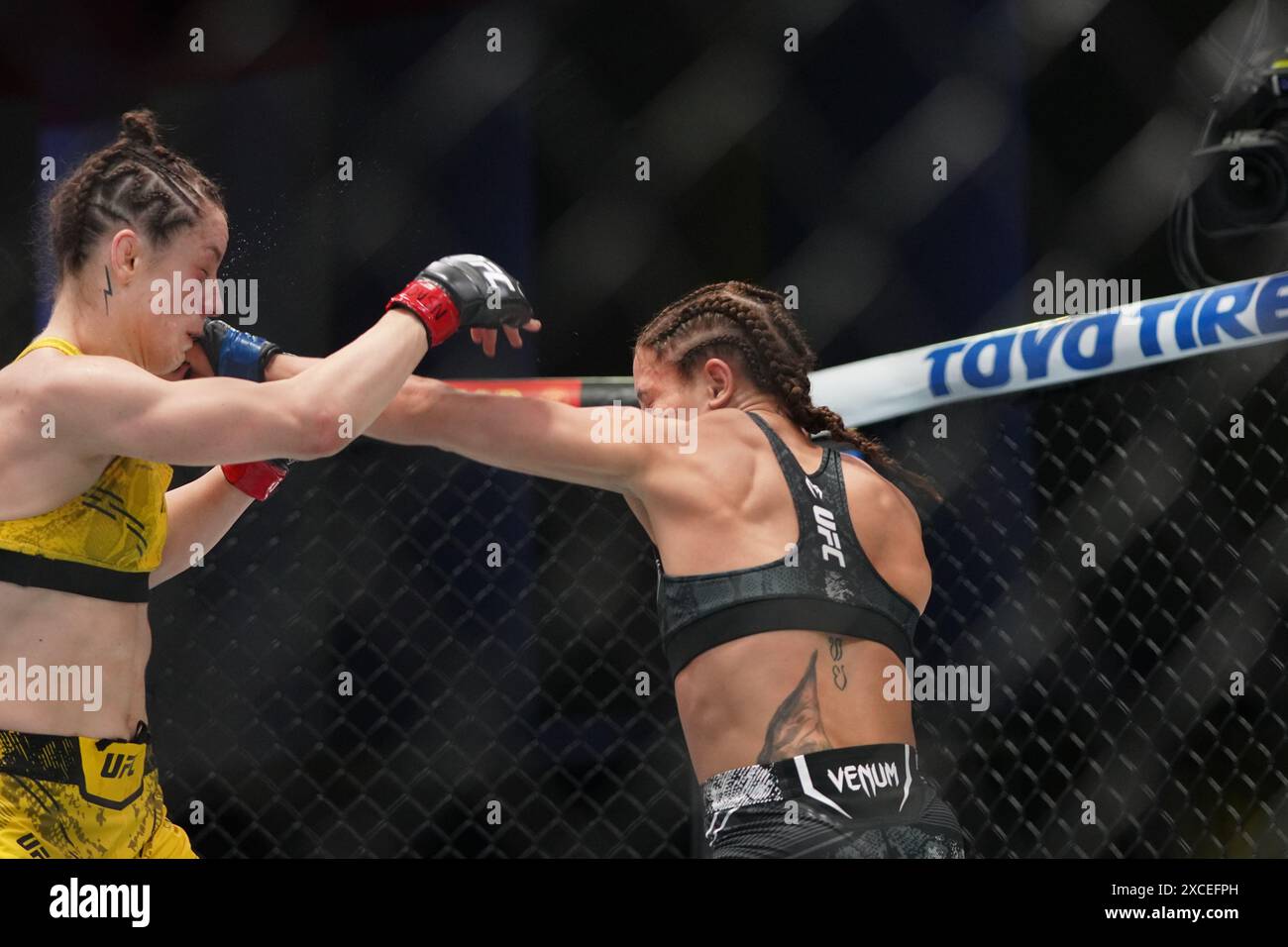 Combat ufc hi-res stock photography and images - Alamy