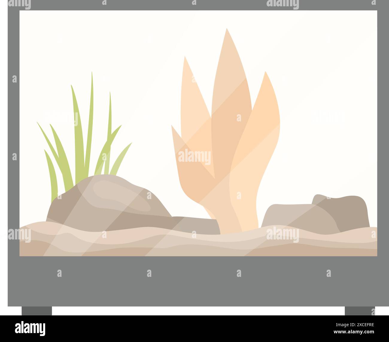 Simple illustration of a rectangular, empty aquarium with plants and ...