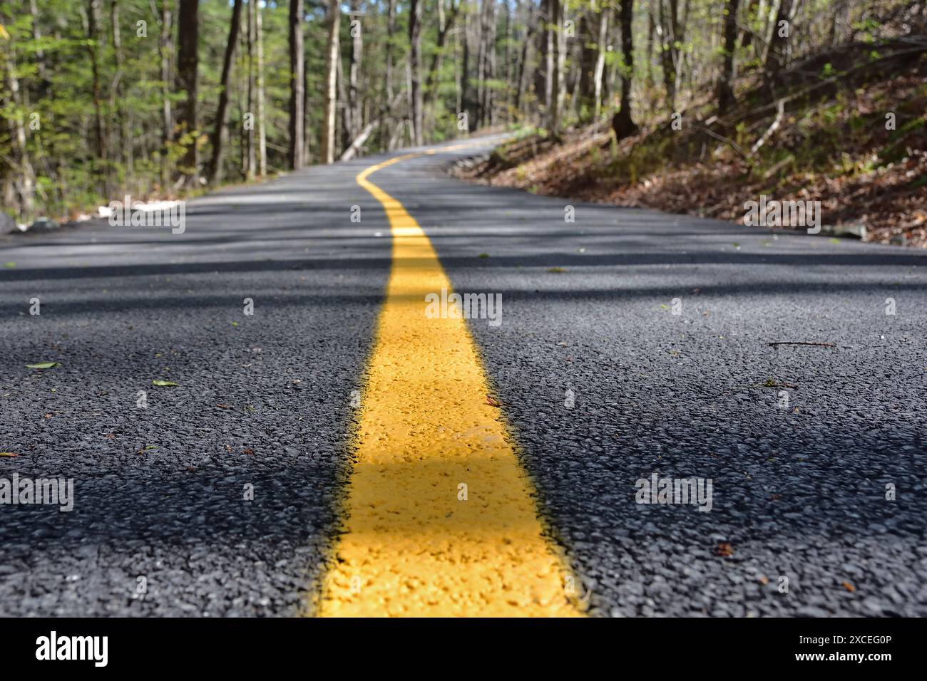Cycling path low perspective. Yellow line leading to infinity. Bikeway ...