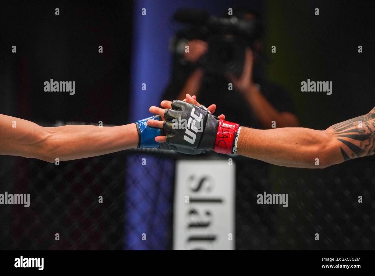 Combat ufc hi-res stock photography and images - Alamy