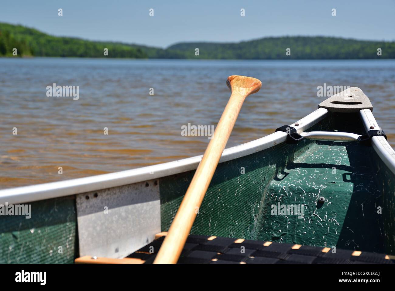 Green canoe with paddle ready for adventure on a fresh water lake Stock ...