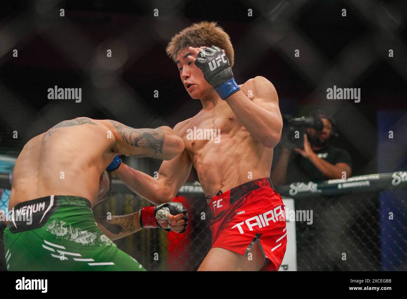 Ufcapex hi-res stock photography and images - Alamy