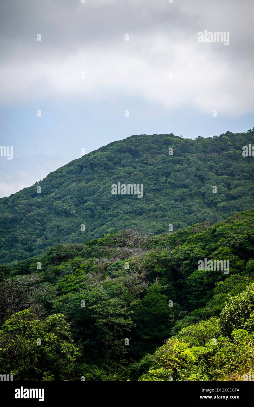 Mombacho Volcano Nature Reserve near the city of Granada, Mombacho’s ...