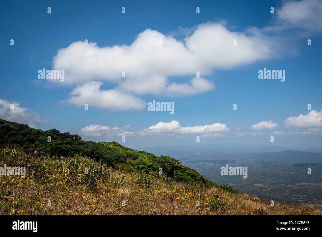 Mombacho Volcano Nature Reserve near the city of Granada, Mombacho’s ...